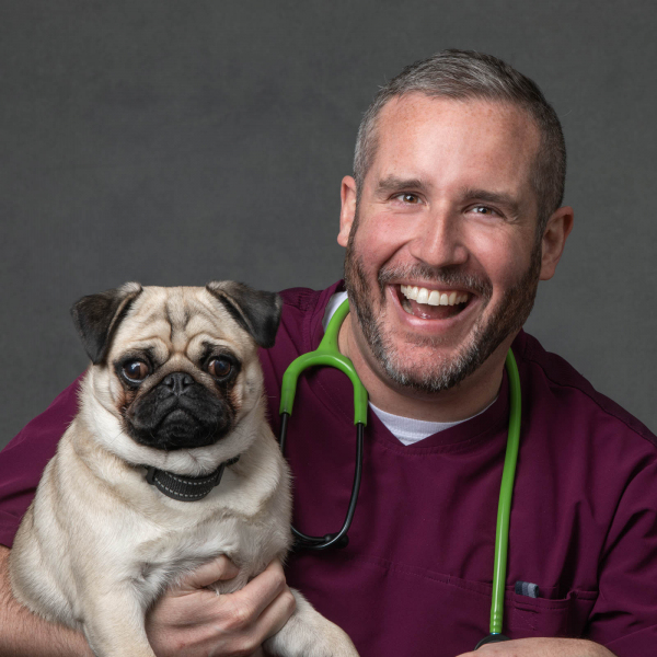 Meet The Veterinarians : Grand Traverse Veterinary Hospital